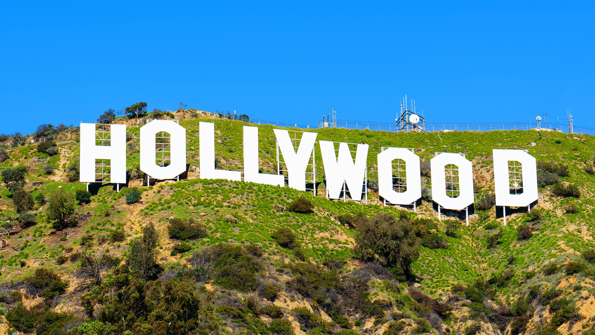 Aruba Vacation Rentals - All Categories | VacayStore