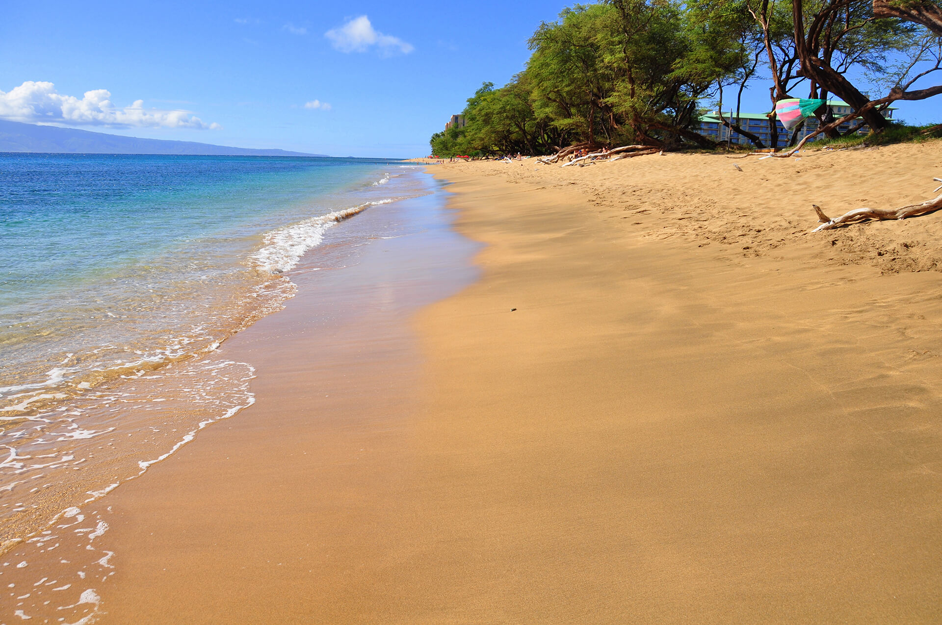 Aruba Vacation Rentals - All Categories | VacayStore