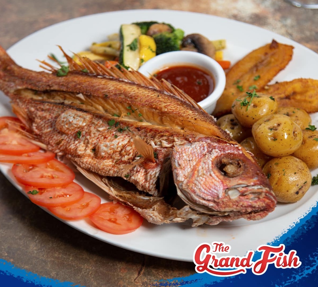 Best Restaurants in Aruba | VacayStore